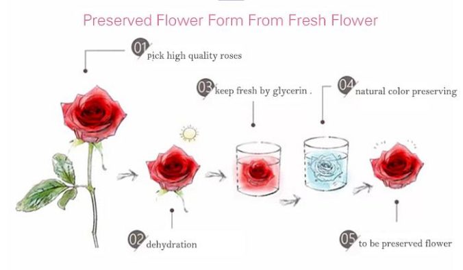 Long Lasting Preserved Flowers for any Occasion - 24hrs City Florist