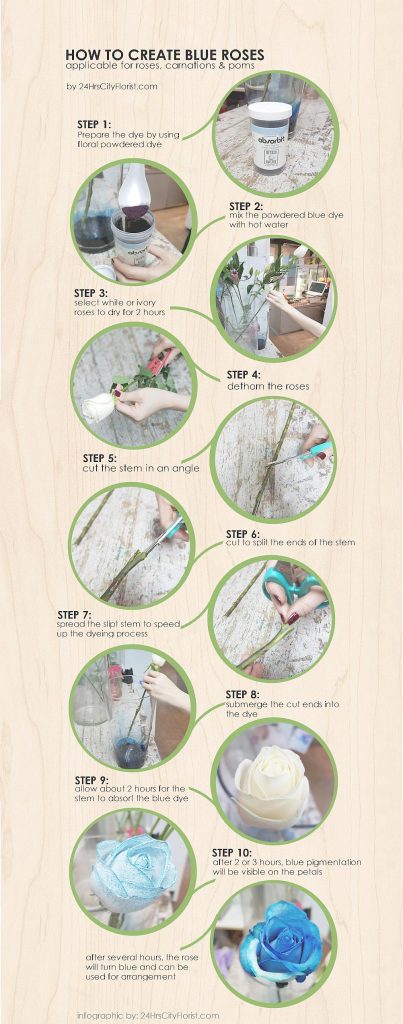 How To Create Blue Roses – Infographic