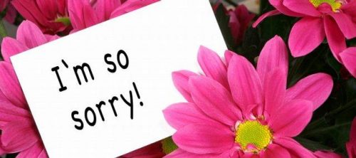 6 Creative Ways to Say Sorry Using Flowers