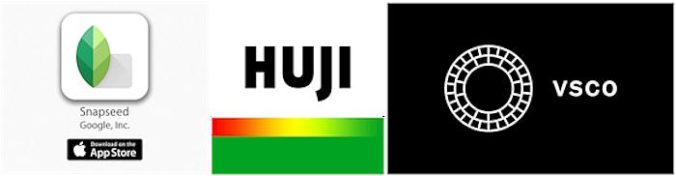 16 Tips For Creative Flower Mobile Photography