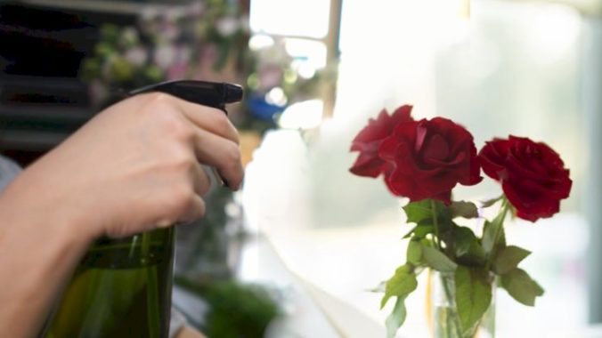How To Make Fresh Flowers Last Longer?
