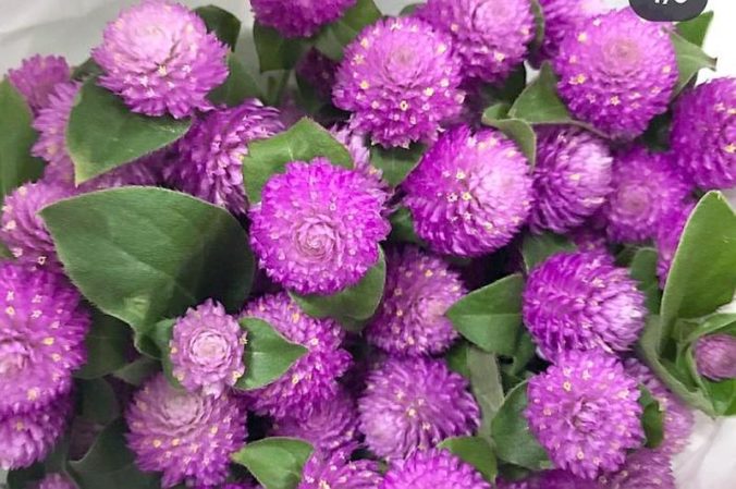 10 Lesser Known Flowers For Bouquets