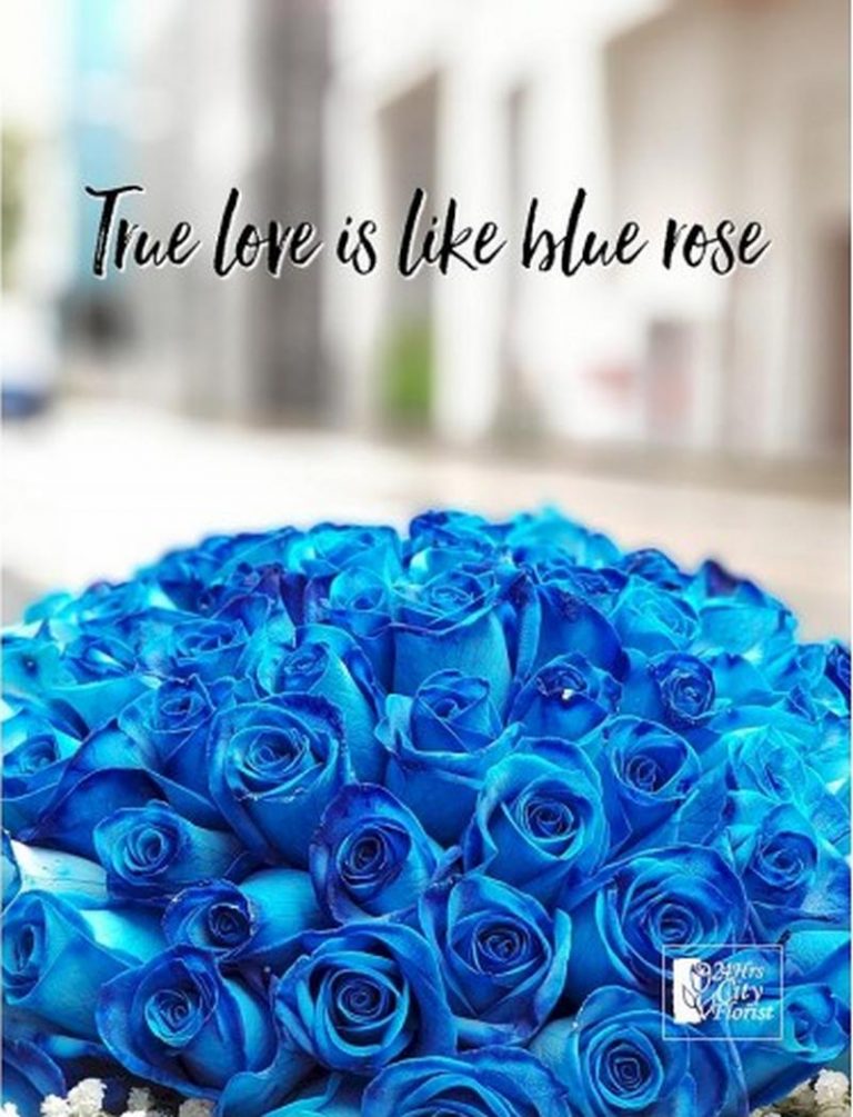 How To Create Blue Roses – Infographic
