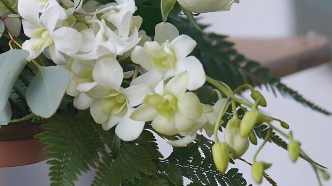 Flower Symbolism In Traditional Chinese Culture