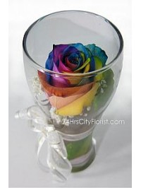 Rainbow Roses