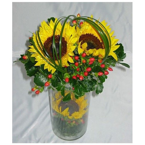 Sunflowers - Sunflowers in a clear cylindrical glass Approximate ...