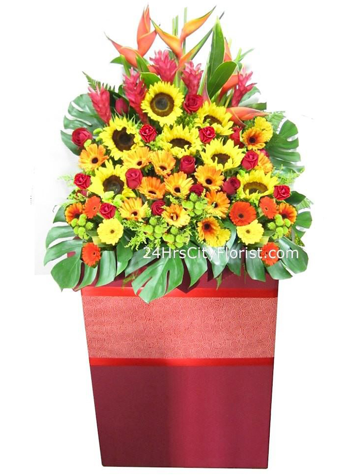 Congratz - Opening grand flower stand